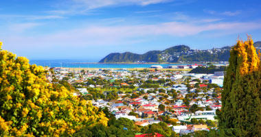 Wellington Short Break Holiday | Get Great Holiday Deals
