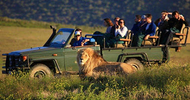 Shongololo Express - South Africa Trains & Routes | Flight Centre